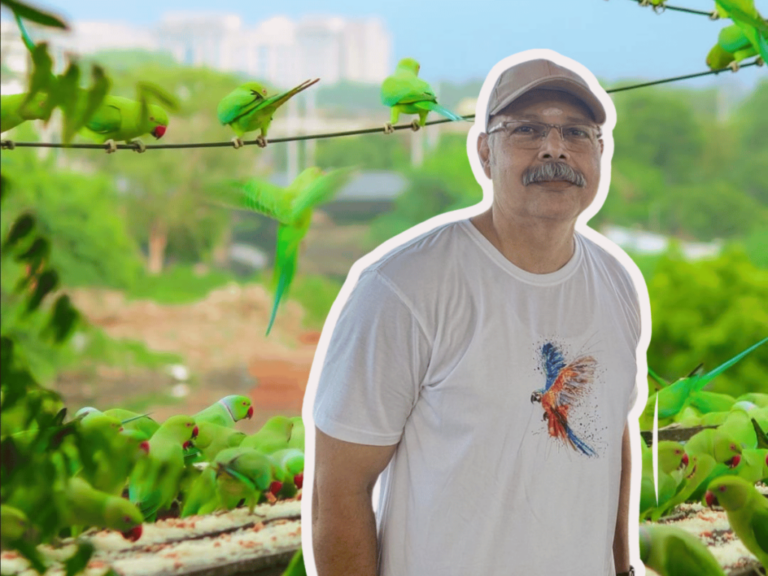 Flock Yeah! Meet Chennai's Birdman Who Turned His Terrace Into a Parrot ...
